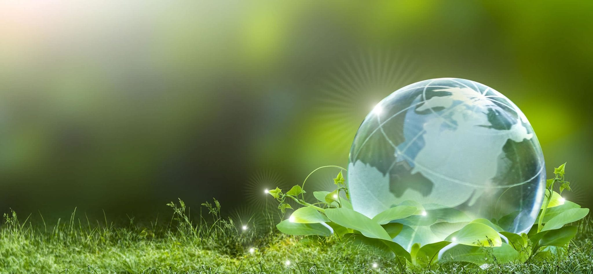 Sustainability Consulting Services