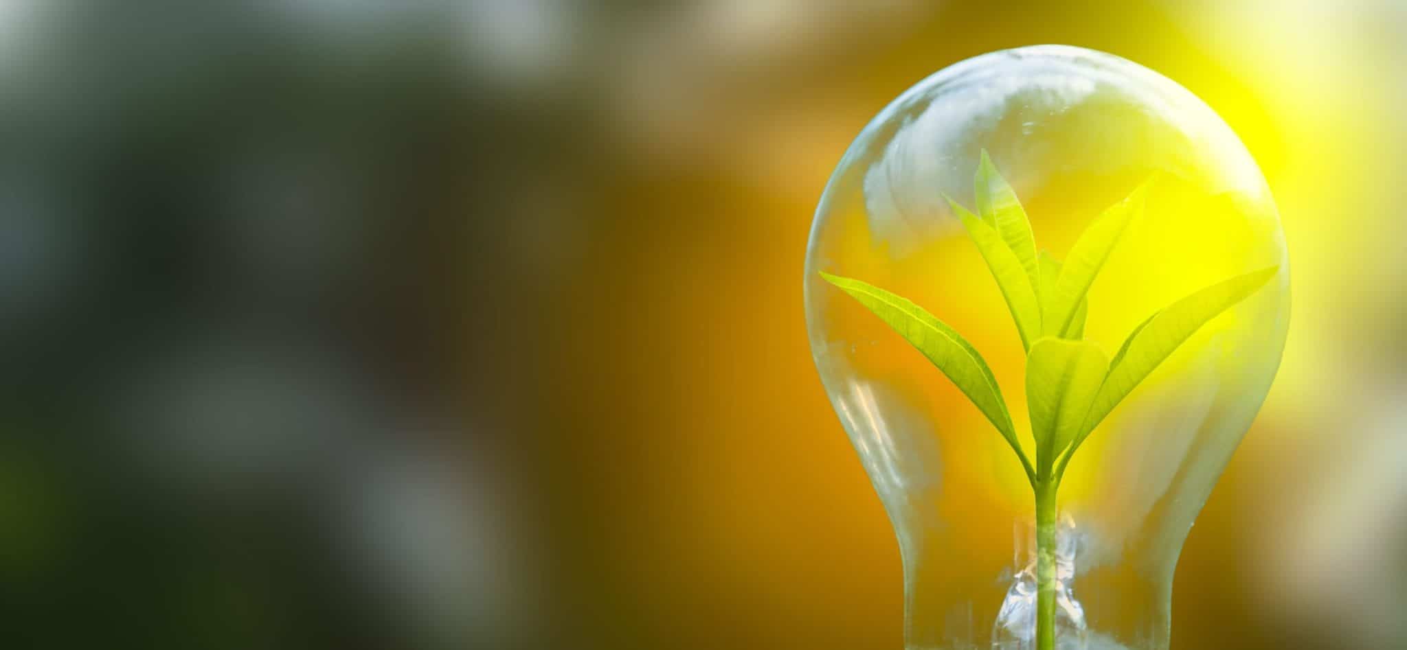 Our Expertise [Team ] – Solas Energy